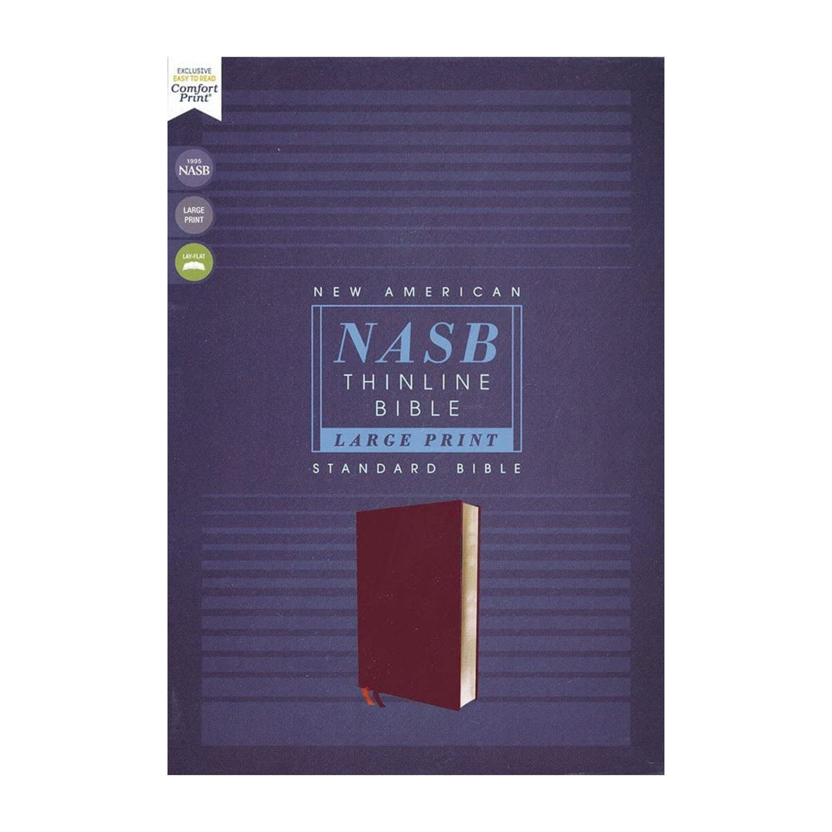 Personalized NASB 1995 Text Thinline Large Print Bible Red Letter Edit ...