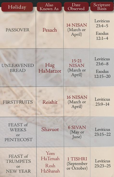 Feasts Of The Bible Pamphlet – Simply Uncaged Christian Gifts